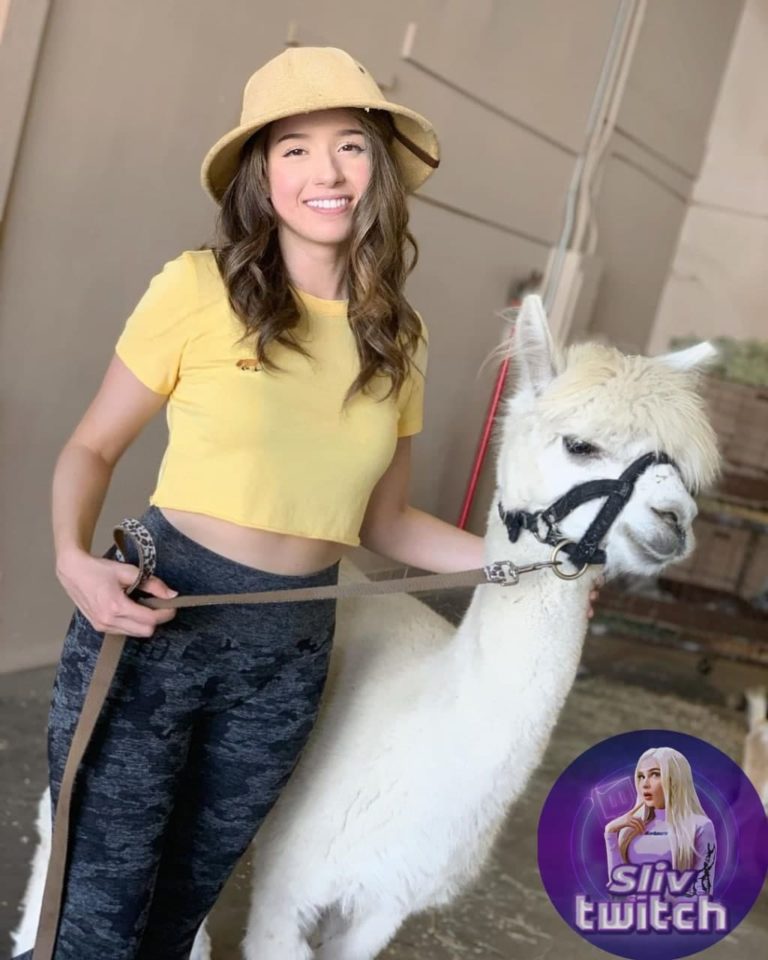 POKIMANE top 50 hot photos and 6 videos - Sliv-Twitch